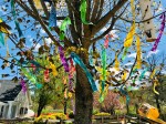 Our Wish Tree | A Teacher's Reflections
