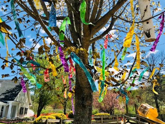 Our Wish Tree | A Teacher's Reflections
