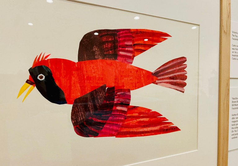 New Books, Authors, Art and Birds – at The Eric Carle Museum | A ...